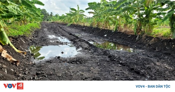 ដីសំណល់ដឹកចូលមក Tiền Giang ប្រជាជនស្នើថ្នាក់លើជួយដោះស្រាយ។ | VOV4.VOV.VN