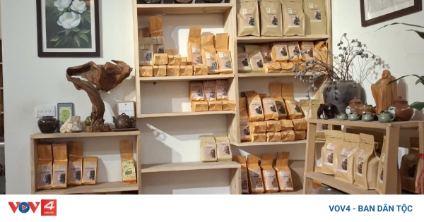 Chè vùng cao và văn hóa thưởng chè | VOV4.VOV.VN