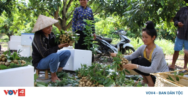 Ngon tô thứ 5 tênh căm mự 19 căm bườn 12 pì 2024- Sông Mã lan lay xìa ...