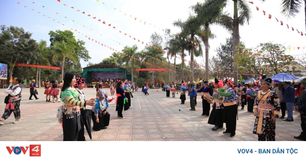 Hấp dẫn Hội thi đấu bò truyền thống ngày đầu năm mới ở Điện Biên | VOV4.VOV.VN